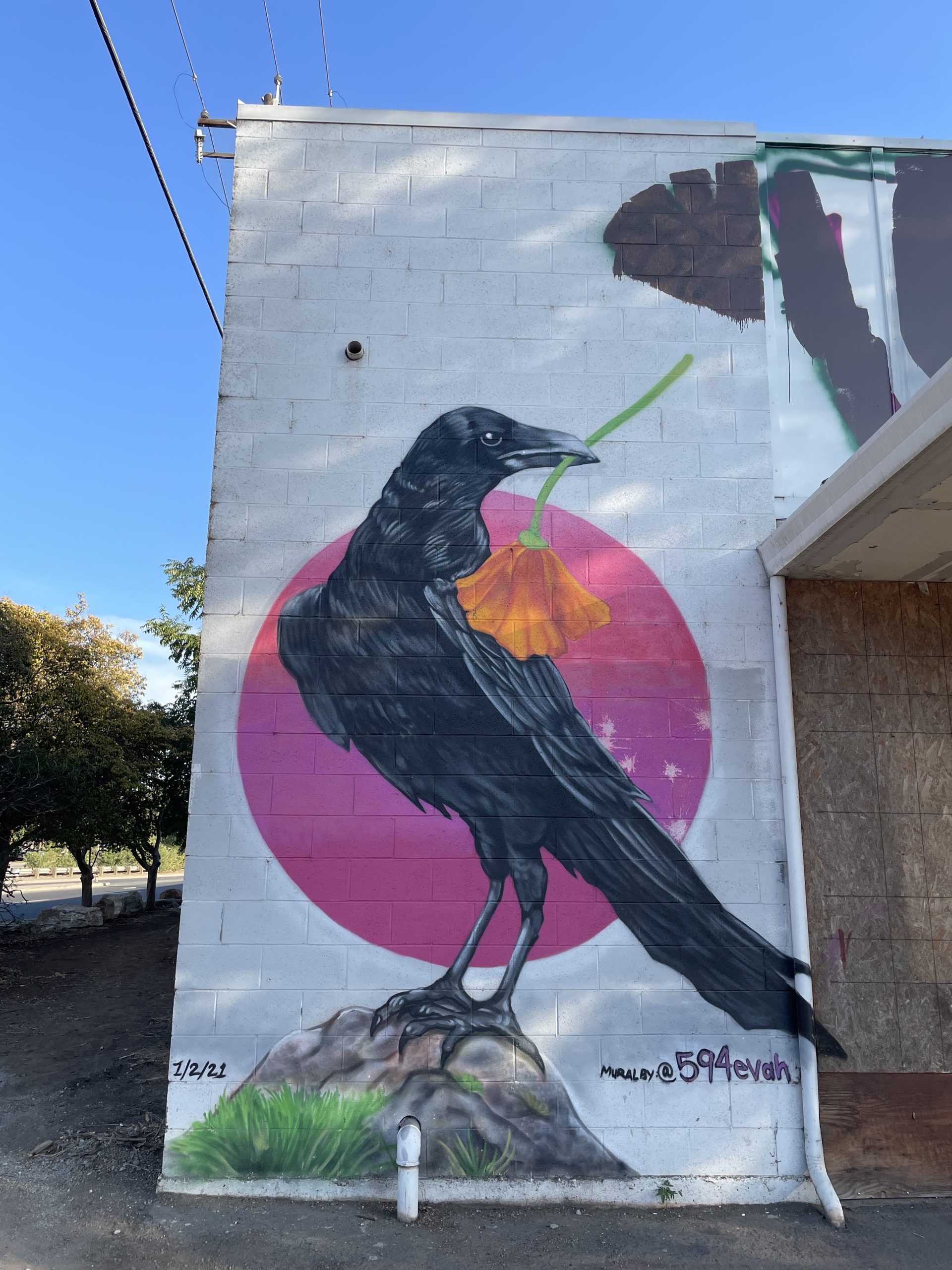 Best of Chico 2021: Editors' picks • Chico News & Review