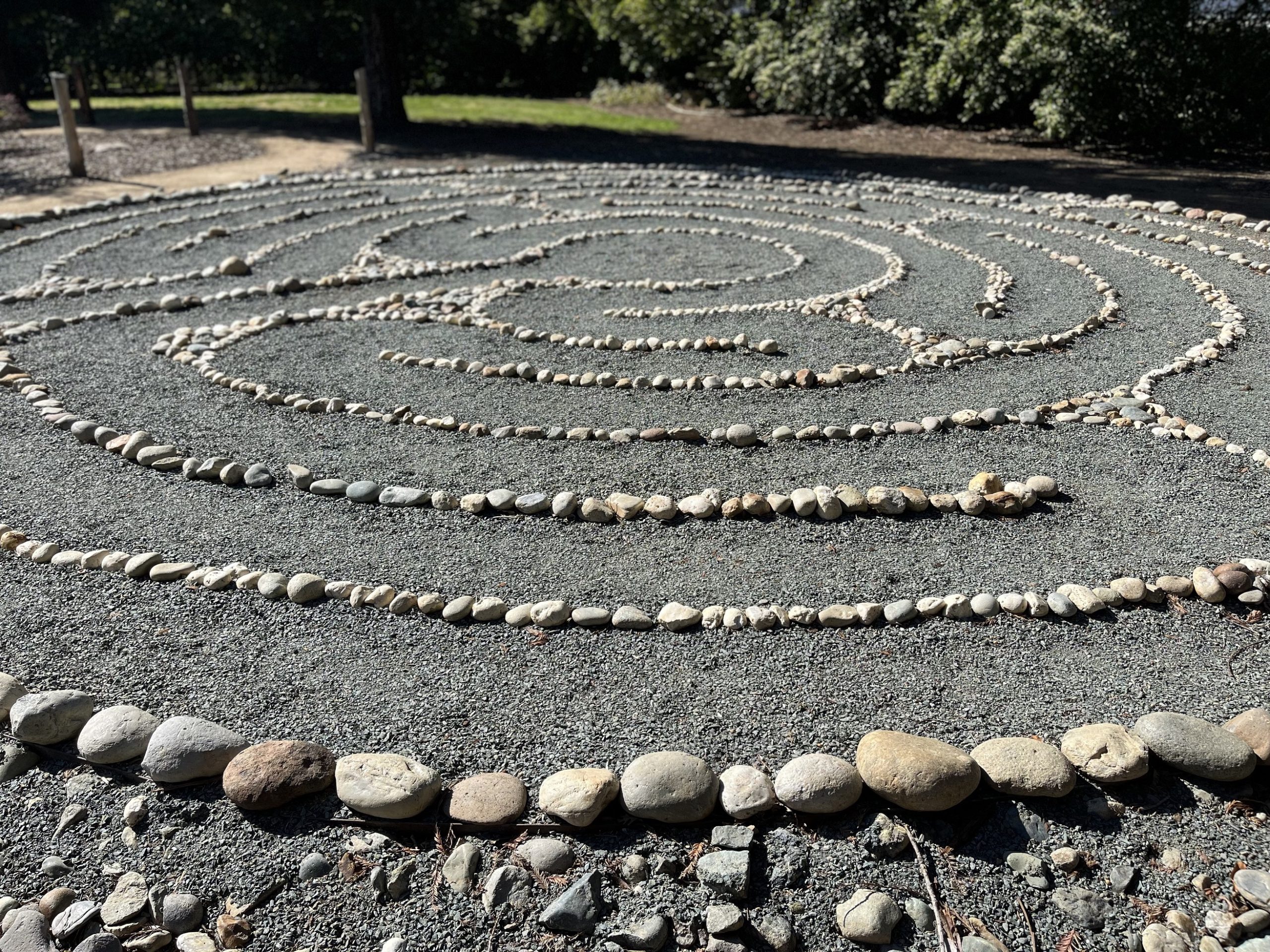 'Arts in the wild' • Chico News & Review