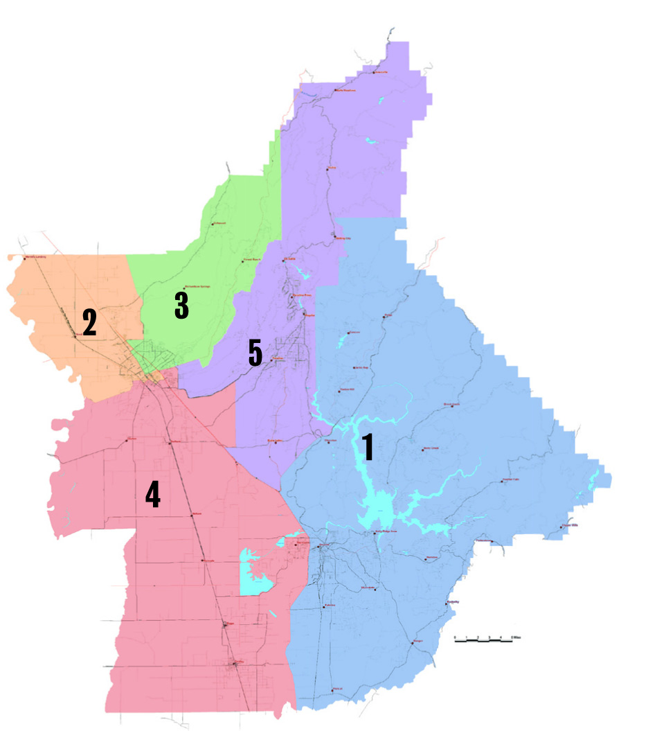 Primary primer • Chico News & Review