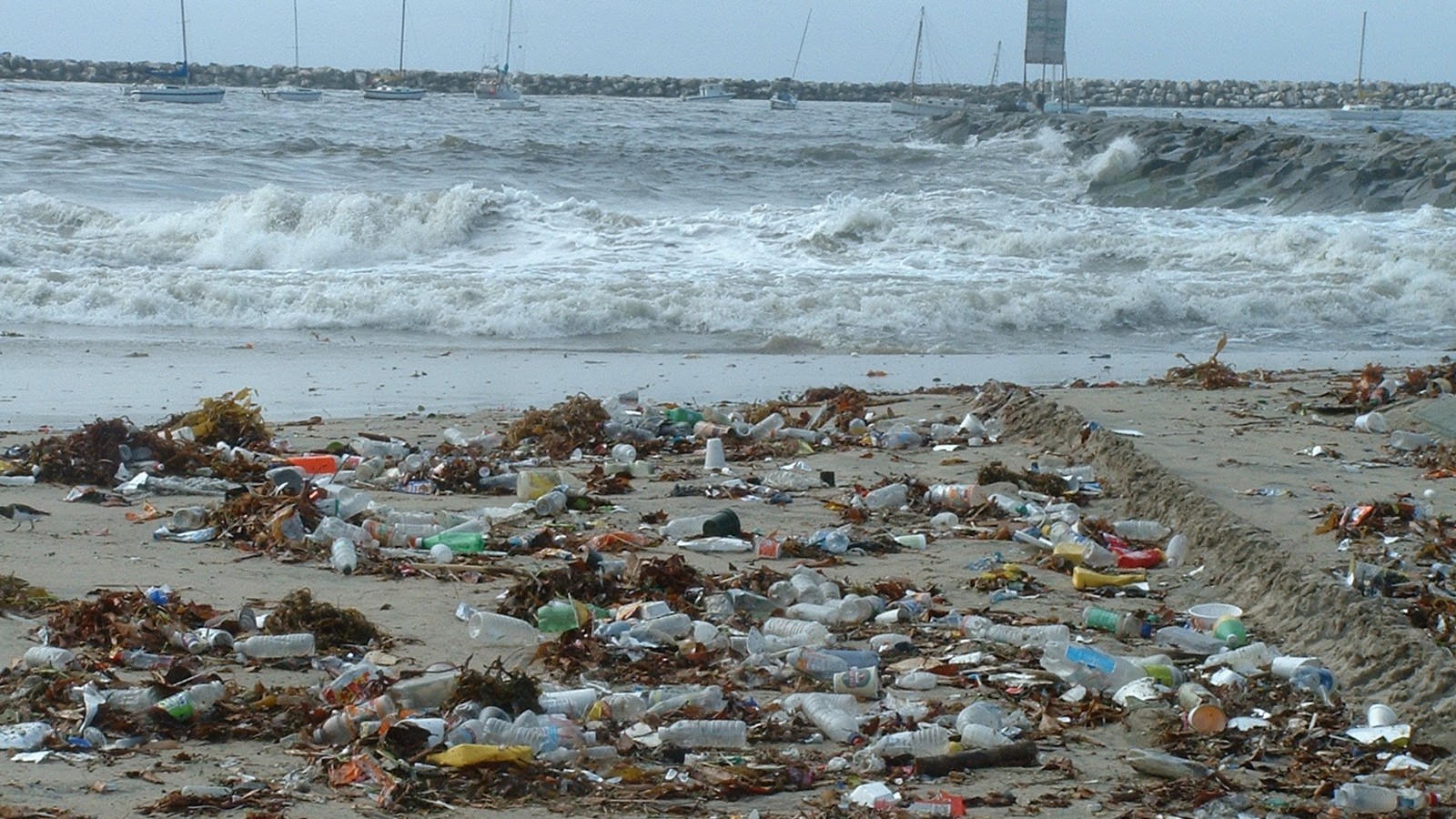 Massive mess • Chico News & Review