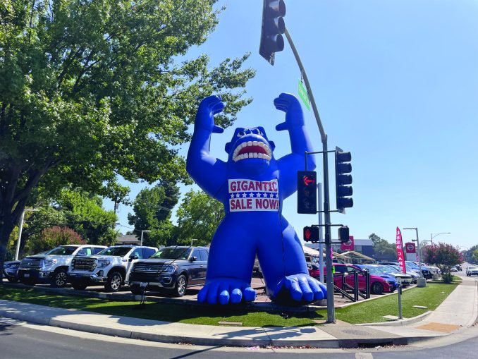 Best of Chico 2021: The Comeback • Chico News & Review