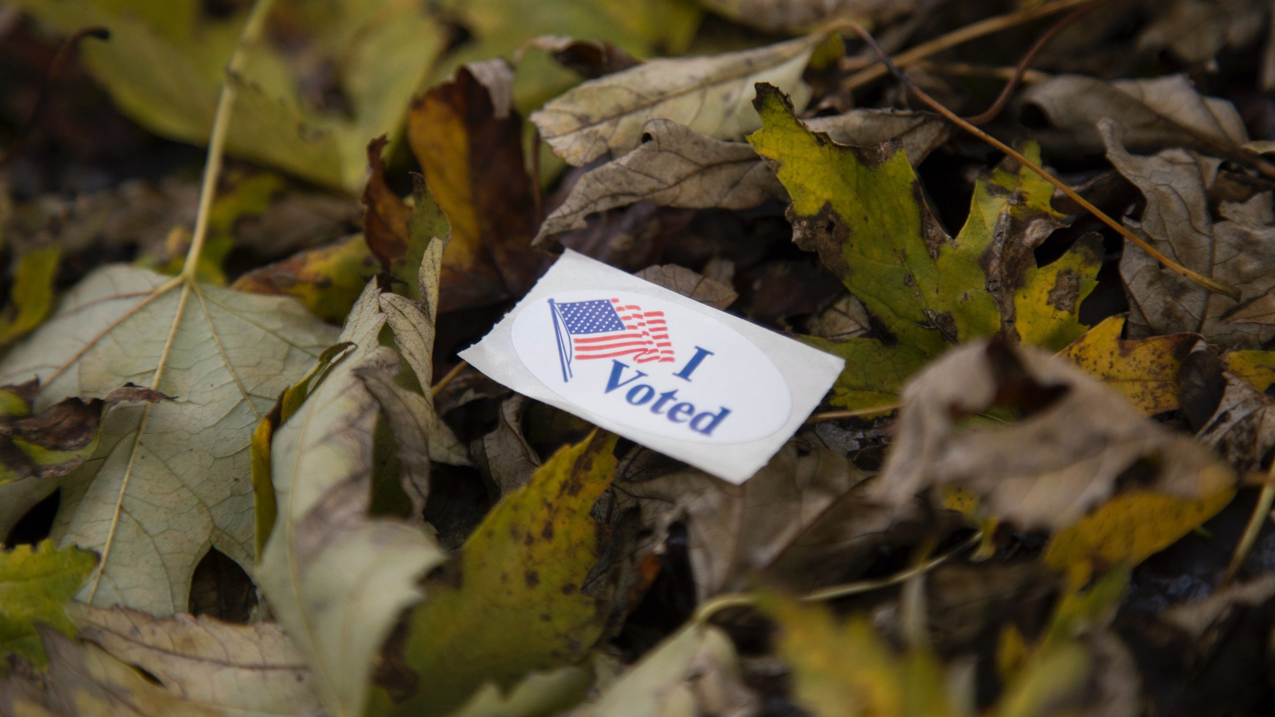 Election 2022: Updated results • Chico News & Review