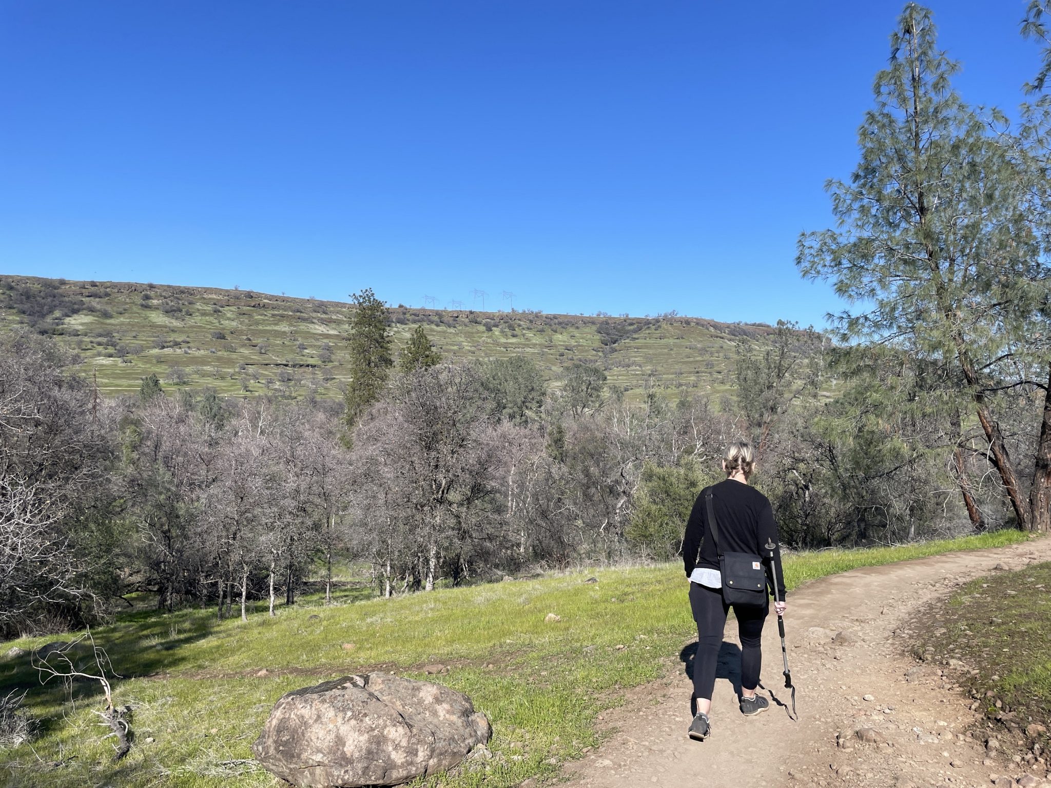 Journey to the other side of the park • Chico News & Review