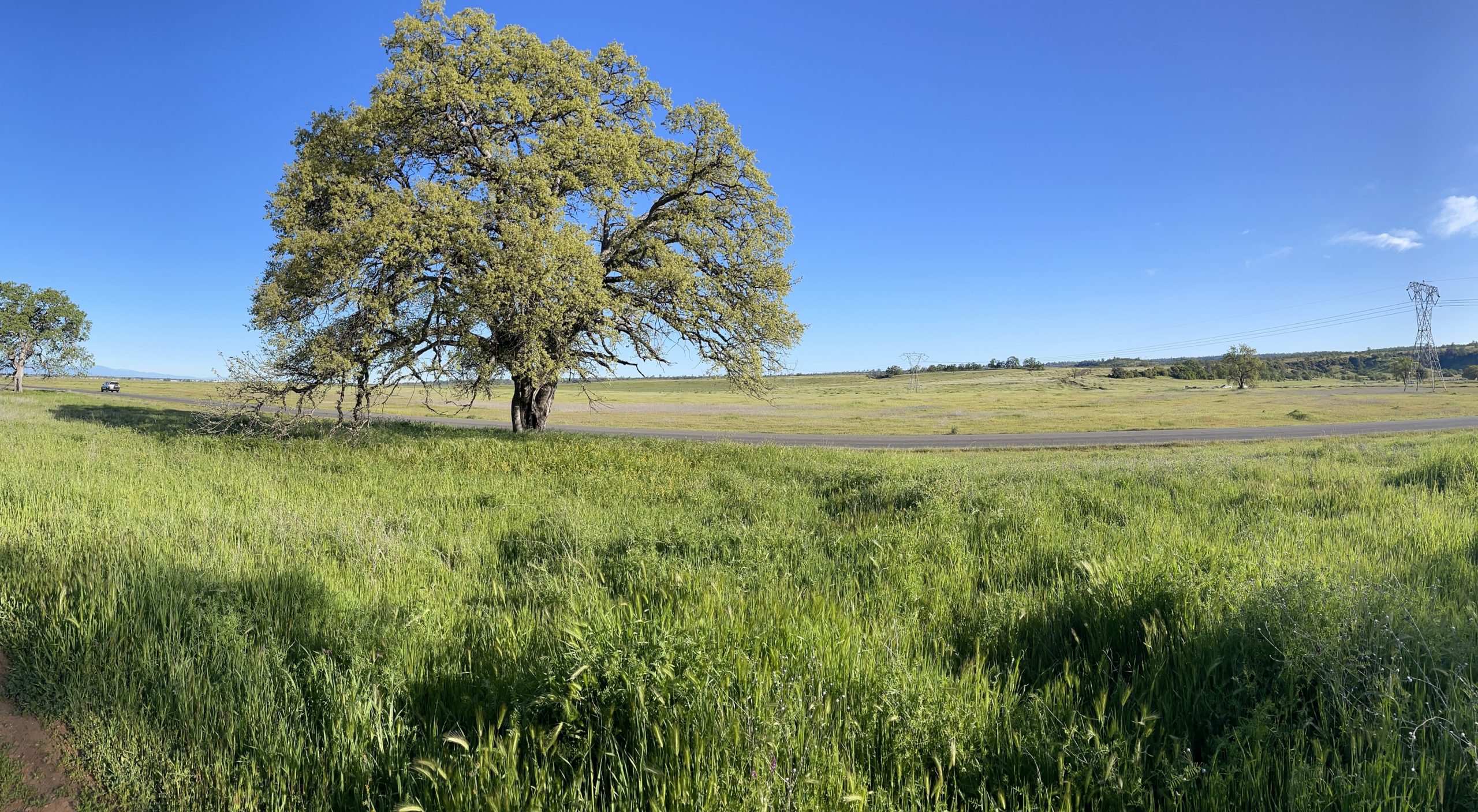 Chico News & Review F.A.Q. • Chico News & Review