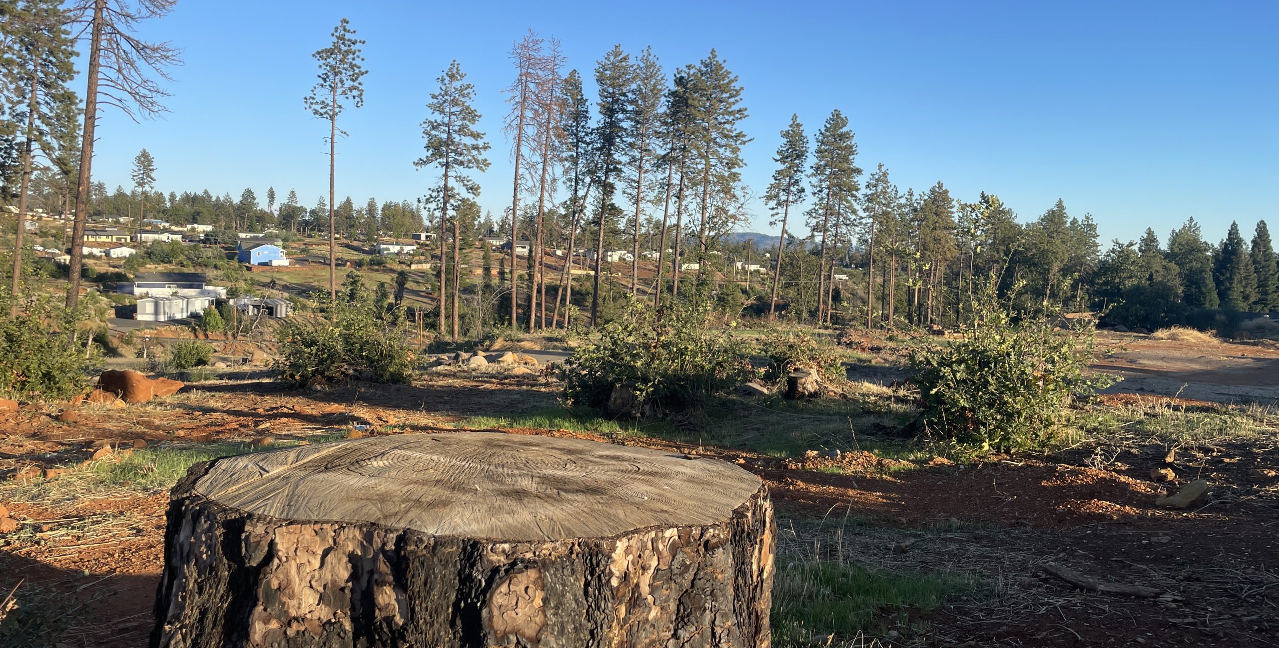 More coverage coming for wildfire distressed areas • Chico News & Review
