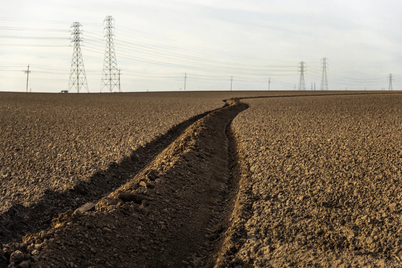 Dangerous Herbicide Banned Chico News Review