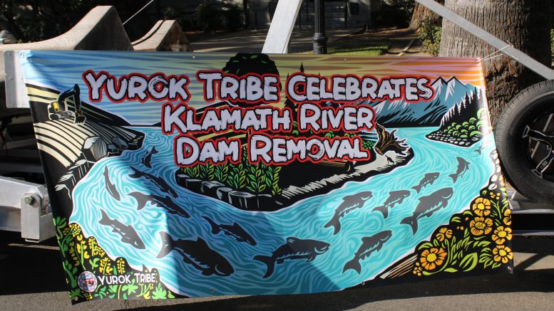 When fish are free: Hundreds of salmon are now spawning in Klamath ...