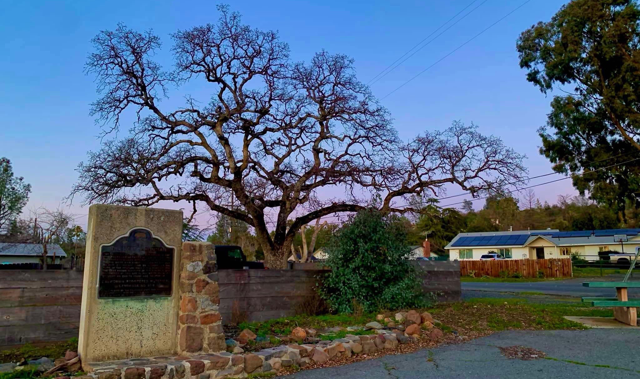 Ishi’s story still haunts Butte County and beyond • Chico News & Review