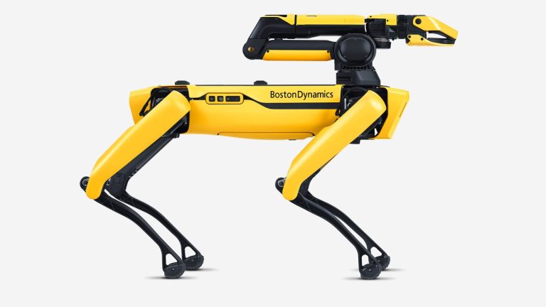 Robot dogs and 'F Newsom' signage: The ever-stranger conversation about public safety in Chico ...