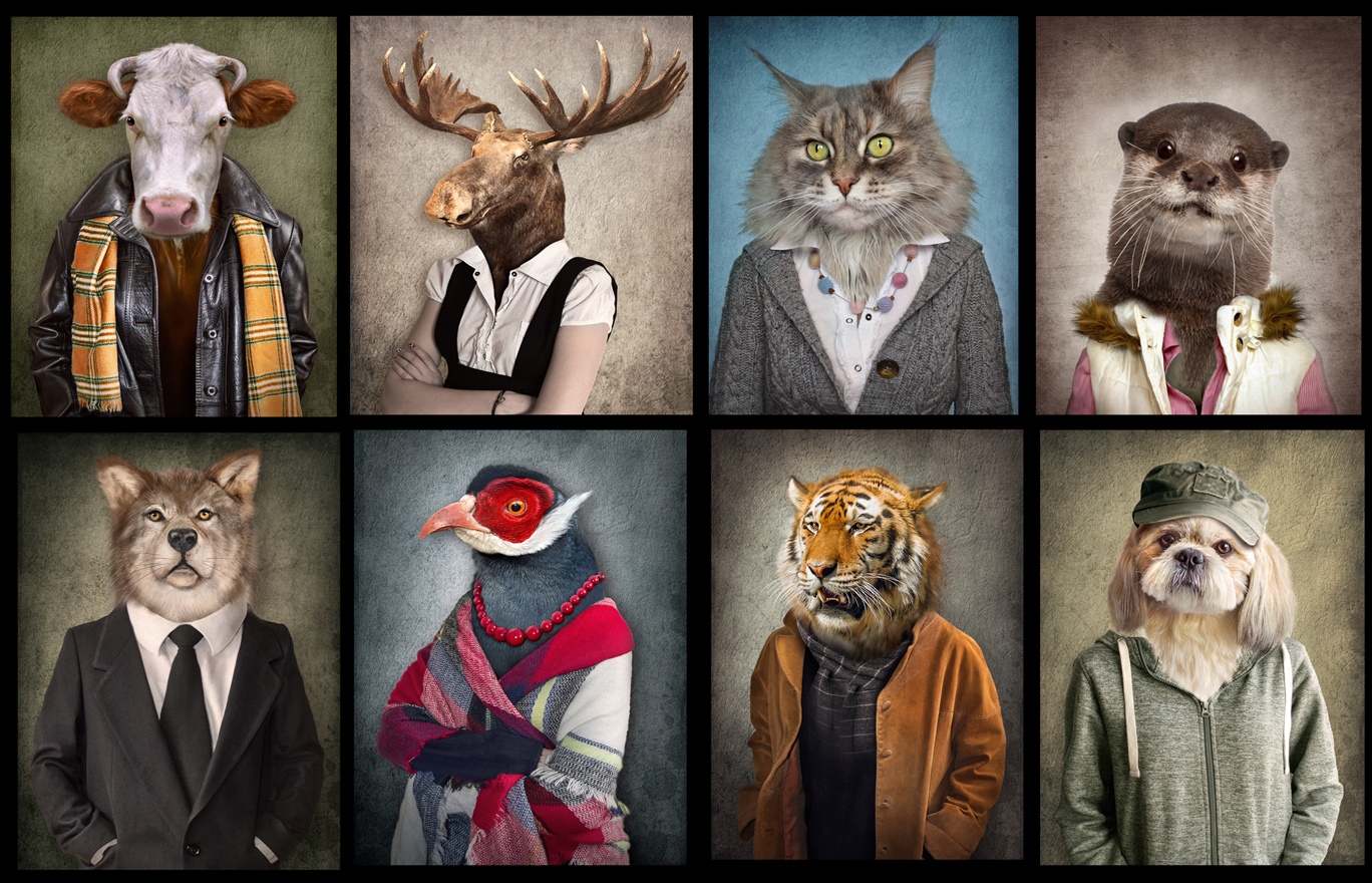 Streetalk: If you could be any animal, which one? • Chico News & Review