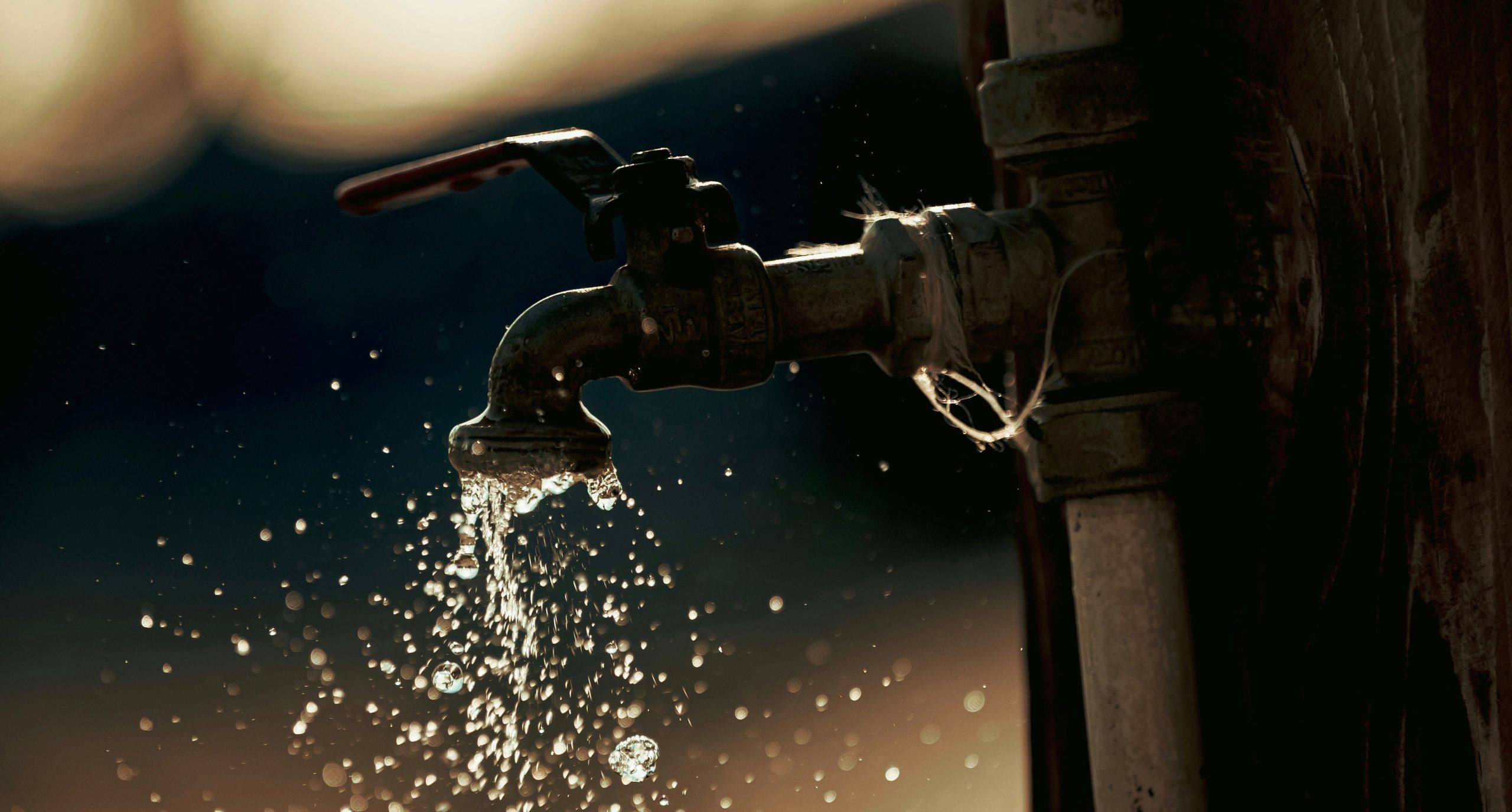 Butte and Plumas counties were part of winning court fight against the ...